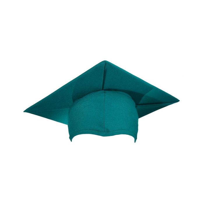 graduation cap white background