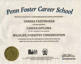 Custom Diplomas & Printing | GraduationSource